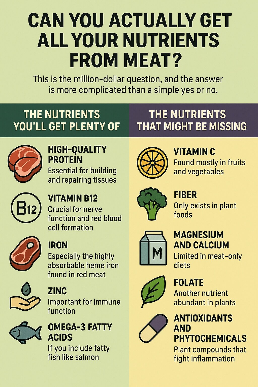 Is the Carnivore Diet Actually Nutritious for Long-Term Health? A ...
